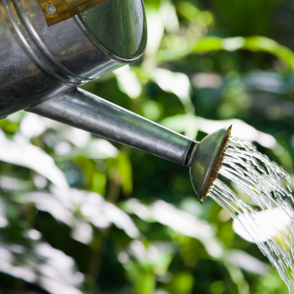 Das Umweltzentrum Dresden | Das Umweltzentrum Dresden – Artenschutz | Umweltbildung | Miteinander